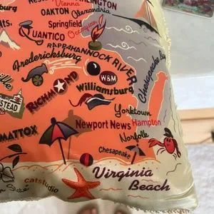 Catstudio | Accents | Catstudio Silk Pillow Virginia Rare Depicts The ...